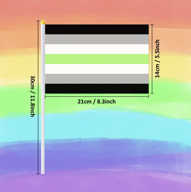 Agender handheld pride flag – PridePoint