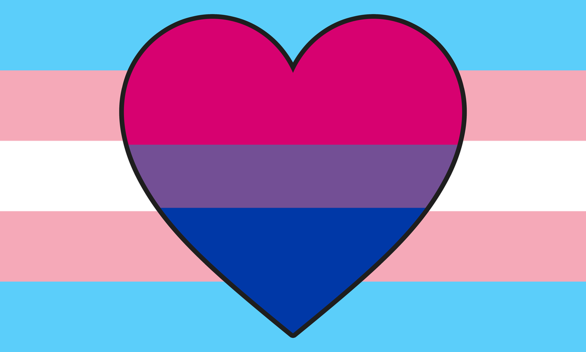 Bisexual Transgender pride flag 3' X 5' – PridePoint