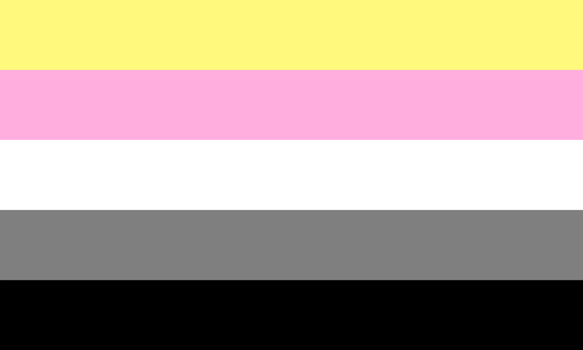 Queerplatonic v2 pride flag 3' X 5' – PridePoint
