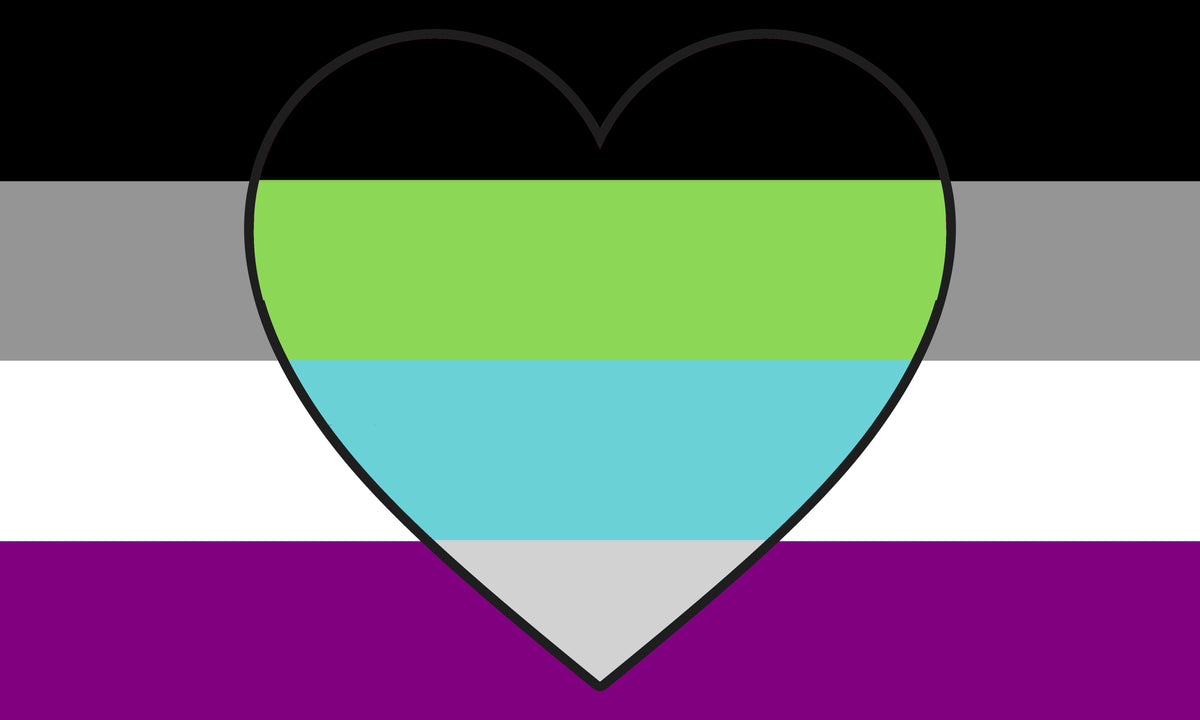 Quoiromantic Asexual pride flag 3' X 5' – PridePoint