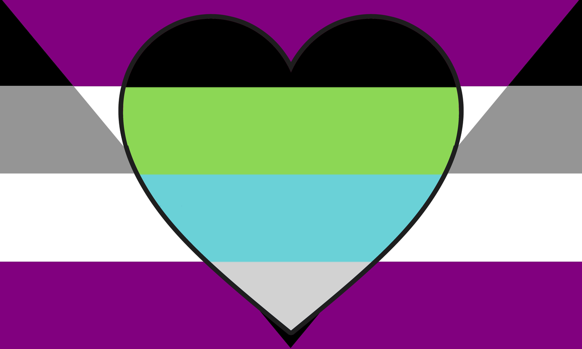 Quoiromantic Aegosexual pride flag 3' X 5' – PridePoint