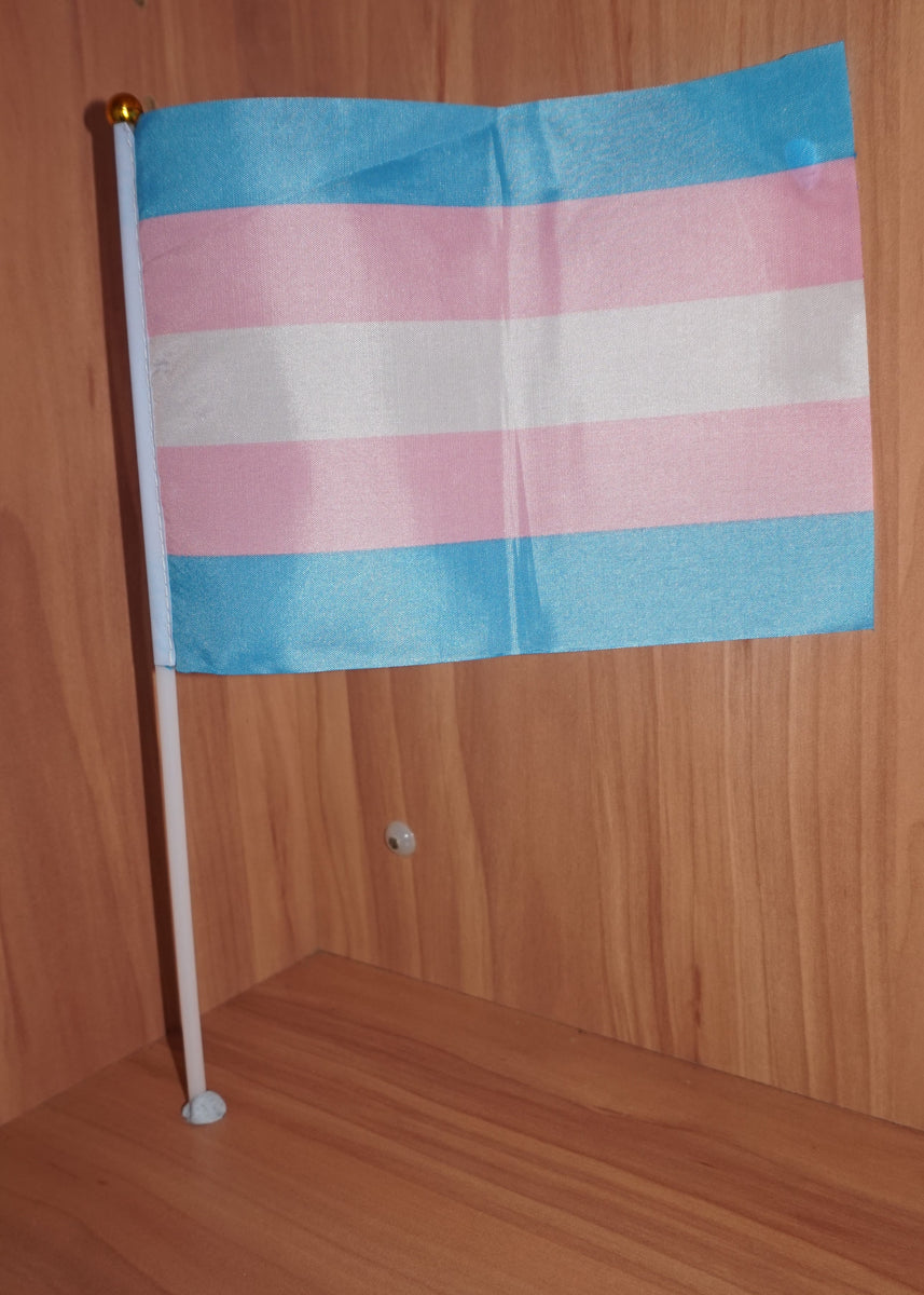 Trans pride handheld flag small – PridePoint