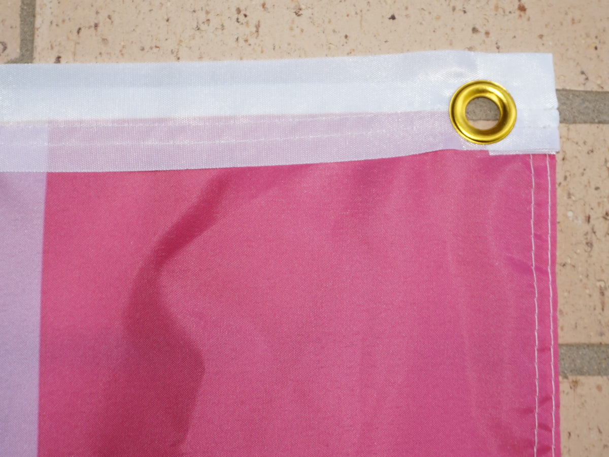 Recipromantic pride flag 3' X 5' – PridePoint