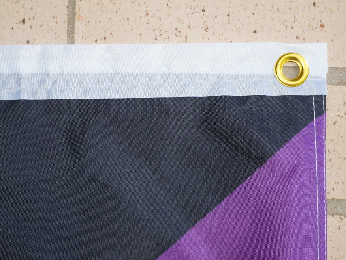 Aegosexual pride flag 3' X 5' – PridePoint