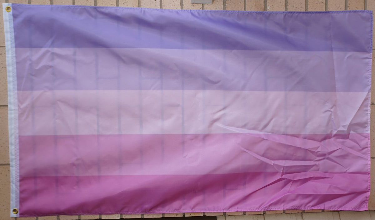 Finsexual pride flag 3' X 5' – PridePoint