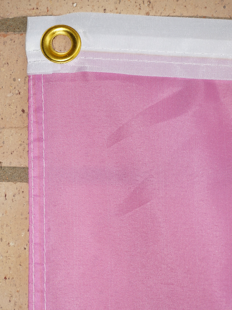 Finsexual pride flag 3' X 5' – PridePoint