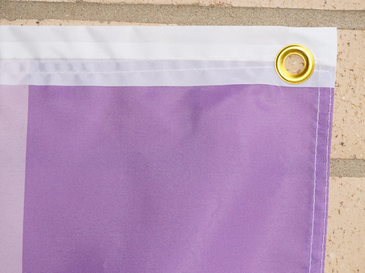 Trixic pride flag 3' X 5' – PridePoint